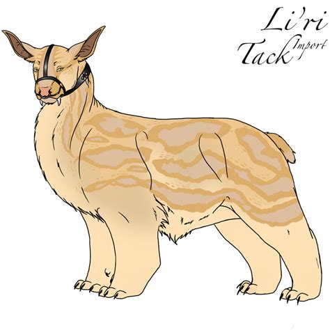 Liri Doe Adopt Open By Matsi Doodles On Deviantart