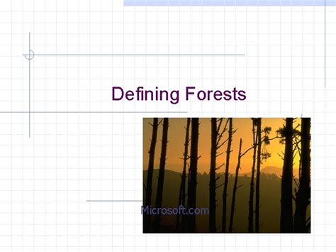 Defining Forests Microsoft Com What Is A Forest