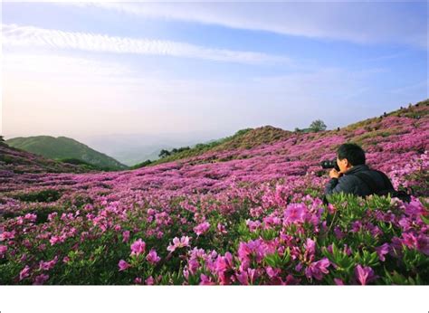경남 합천 산청 황매산 철쭉제 군립공원 황매산 철쭉축제 영화주제공원 등산코스 가볼만한곳 네이버 블로그