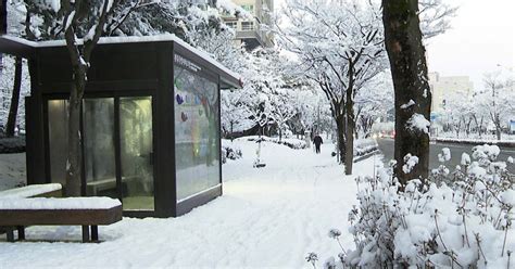 전국 대설특보 해제위기경보 경계→관심 하향