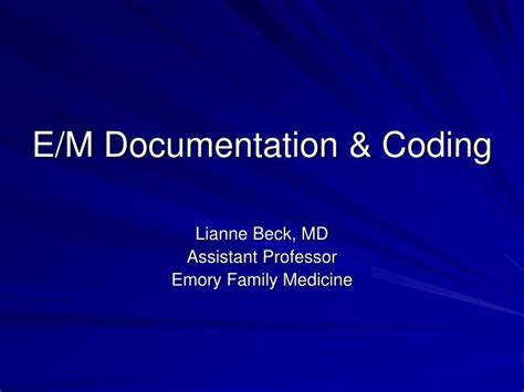 ppt e m documentation and coding powerpoint presentation free download