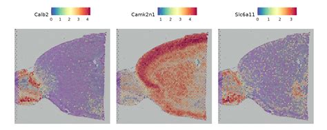 Analysis Visualization And Integration Of Spatial Datasets With Seurat • Seurat