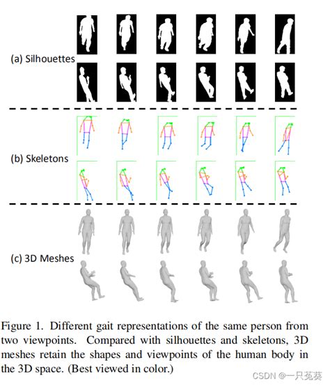 【步态识别】smplgait 算法学习《gait Recognition In The Wild With Dense 3d Representations And A Benchmark