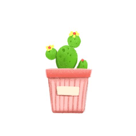 Cactus Pot Hd Transparent Potted Cactus Cactus Potted Plants Plant