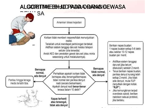 1 Bhd Perki Pptx Materi Tentang Bagaimana Melakukan Bhd Pada Korban
