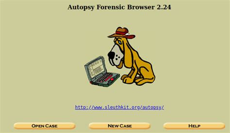 Picoctf 2022 Writeupforensicssleuthkit Apprenticesleuthkitapprentice
