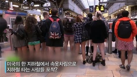 노팬츠 데이