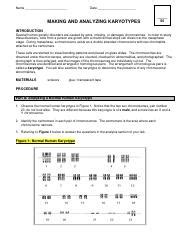 Making And Analyzing Karyotypes A Practical Guide For Genetic Course Hero