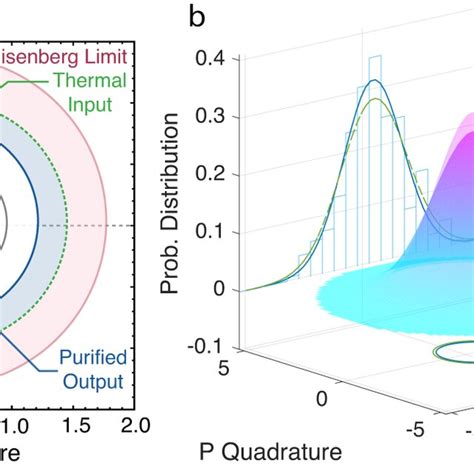 Purification Effect A Purification Of A Displaced Thermal State That Download Scientific