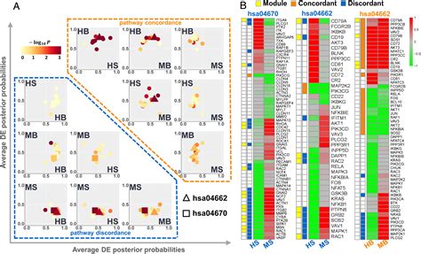 Transcriptomic Congruence Analysis For Evaluating Model Organisms Pnas