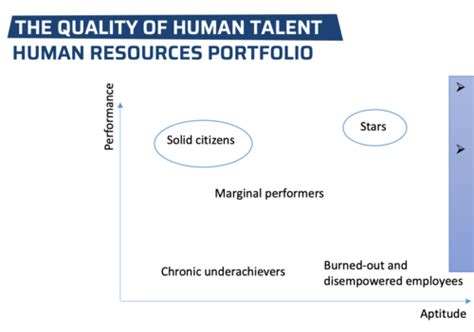 Talent Management Karteikarten Quizlet