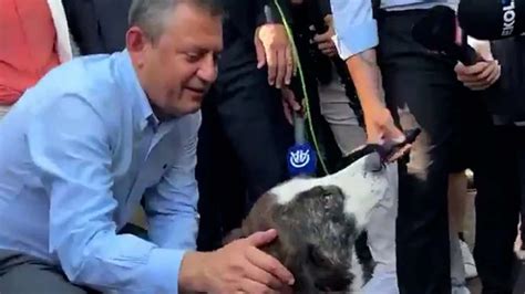 Özgür Özel sokak köpeğiyle konuştu Meclis i duyunca Internet Haber