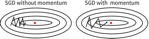 Comparison Of Sgd Algorithms With And Without Momentum 1 Download