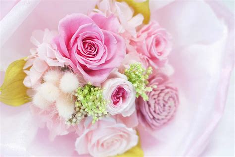 「ドライフラワー」と「プリザーブドフラワー」の違いって？ ことくらべ