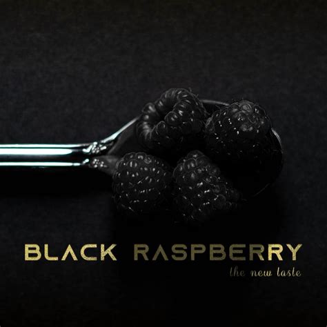 Black Raspberry Graphic Design Project