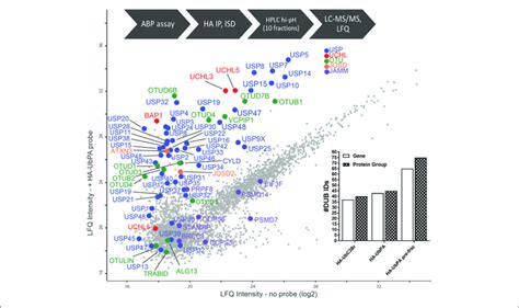 Full Dubome Coverage By Advanced Chemoproteomics Scatter Plot Download Scientific Diagram