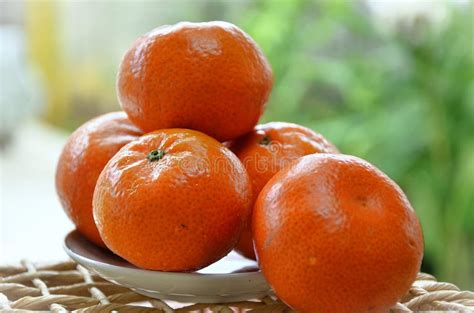 Mini Spanish Tangerines On A Plate Under The Table Stock Image Image Of Vitamin Sweet 374151005