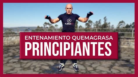 Rutina Quema Grasa De 15 Minutos Para Principiantes YouTube
