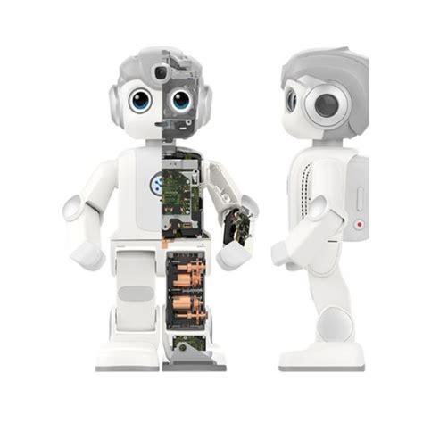 The Conversational Revolution Chatgpt Redefines The Humanoid Robot