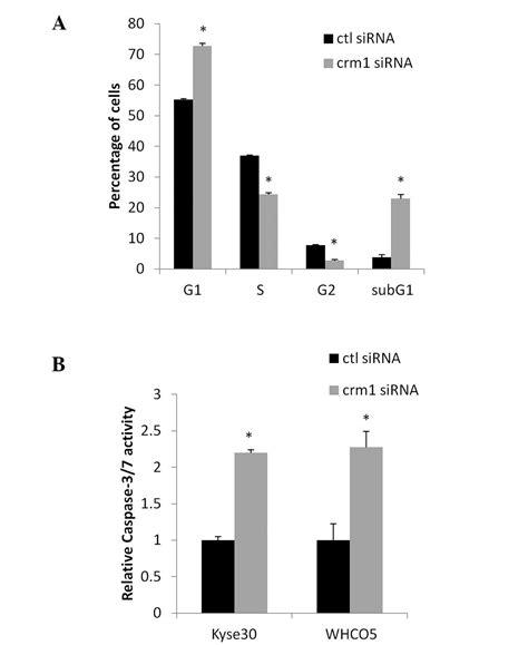 Elevated Expression Of The Nuclear Export Protein Crm1 Exportin 1 Associates With Human