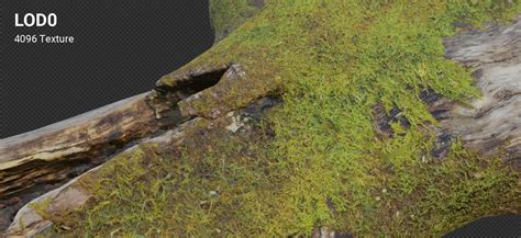 A Static Scene Optimization For Oculus Quest Experience