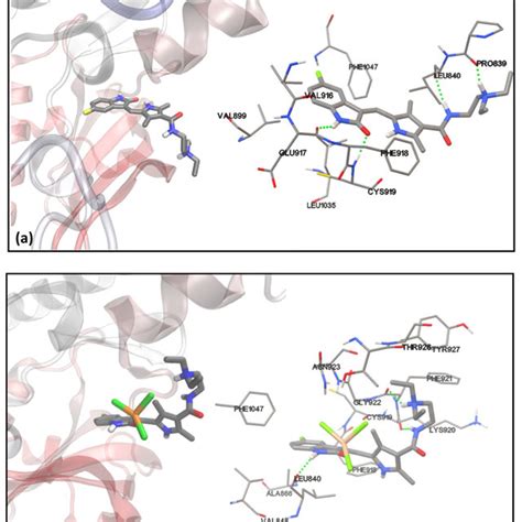 Left Most Favorable Binding Mode In The Atp Binding Pocket Of The