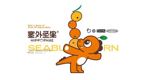 沙棘原浆饮料包装食品包装设计LOGOVI设计 34P