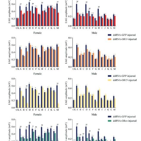 Odorant Stimulus For Eag Number Compound Name Molecular Formula
