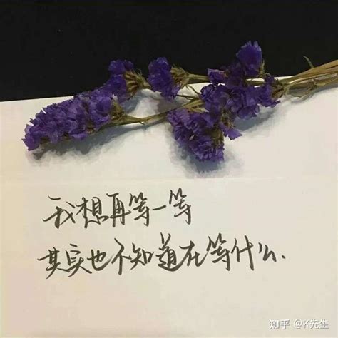 文案 想要一个满是文案的评论区可以吗 知乎