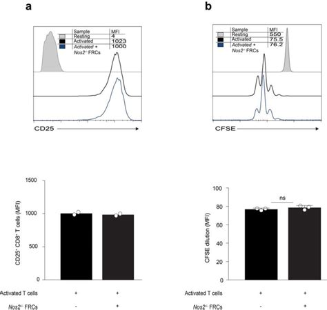 Cd8⁺ T Cells Activated Alone Or Near Nos2−− Frcs Experience The Same
