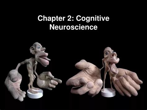 PPT Chapter Cognitive Neuroscience PowerPoint Presentation Free