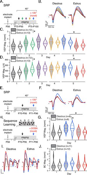 Sex Hormones Plos One
