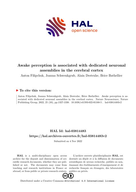 Pdf Awake Perception Is Associated With Dedicated Neuronal Assemblies
