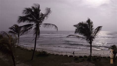 Шри Ланка Виды в отеле и в округе Youtube