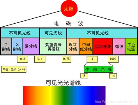 【图像】光谱波长分布图光谱波长全谱图 Csdn博客