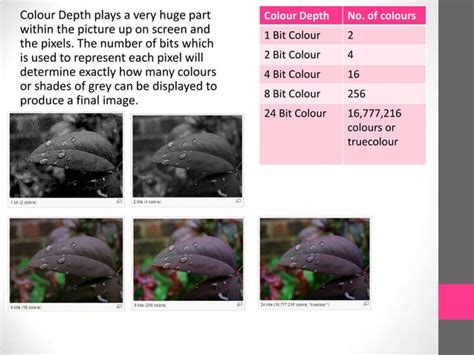 Motion Graphics Glossary Ppt