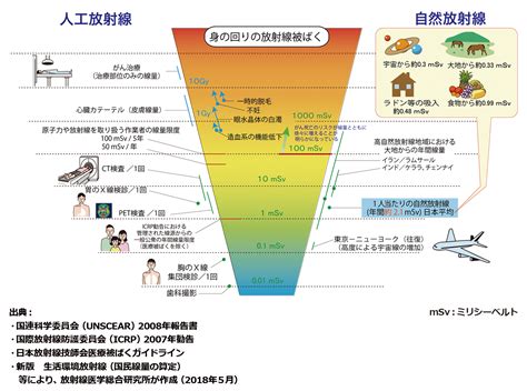 環境省被ばく線量の比較（早見図）