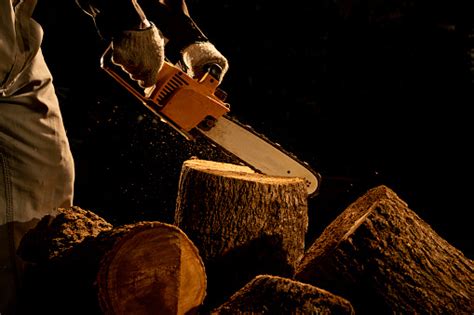 전기 전기 톱은 집을 짓고 장작을 만들기 위해 숲에서 나무를 자릅니다 삼림 벌채의 개념 갈색에 대한 스톡 사진 및 기타 이미지 갈색 강철 금속 Istock