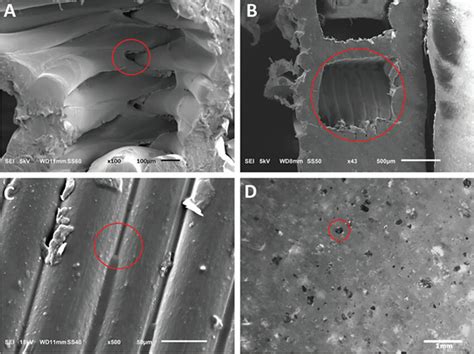 Microstructural Defects In 3d Printed Unreinforced Polymer Specimens