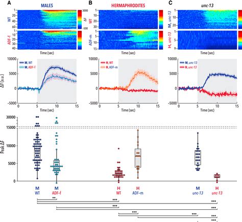 Figure 3 From A Single Neuron Chemosensory Switch Determines The