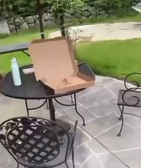 Who Ate My Pizza Runexpected