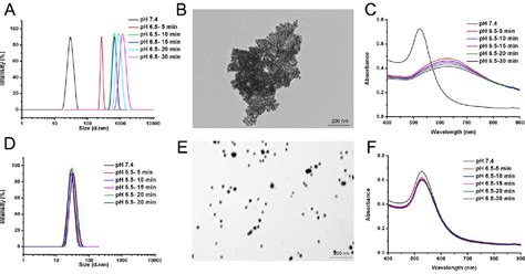 Correction To Acid Triggered In Situ Aggregation Of Gold Nanoparticles For Multimodal Tumor