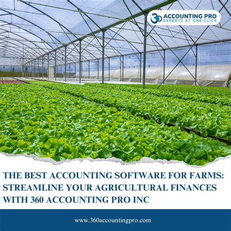 Xero Accounting Cash Coding Setup Benefits And Expert Help 360