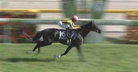【レース回顧vol440】第29回nhkマイルc｜それみあ