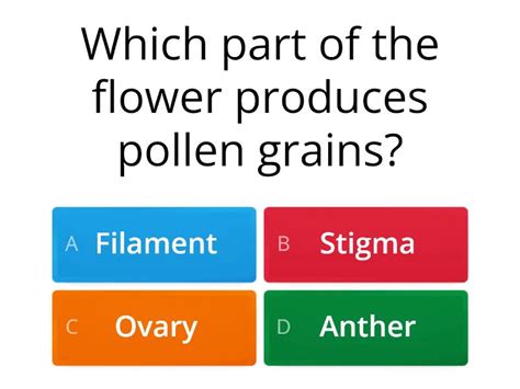 P5 Reproduction In Plants Quiz
