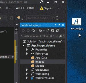 ASP Net Image Kullanımı Web Tasarım Programlama