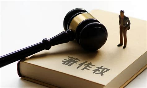 在先使用抗辩证据的综合审查判断 商标 案例评析 案例聚焦 中国知识产权律师网