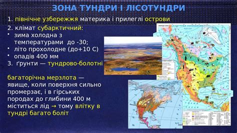 Презентація з географії 7 клас Північна Америка Природні зони
