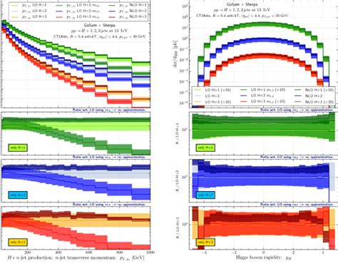 Comparison Of The Lo And Nlo Effective Theory Predictions With The Lo