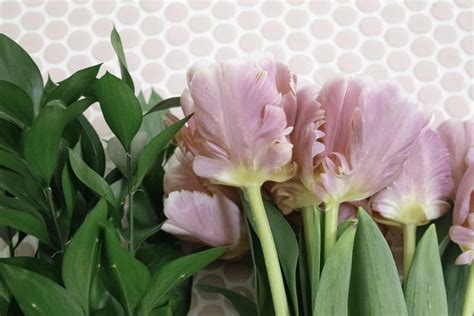How To Arrange Tulips In A Vase A Beautiful Mess